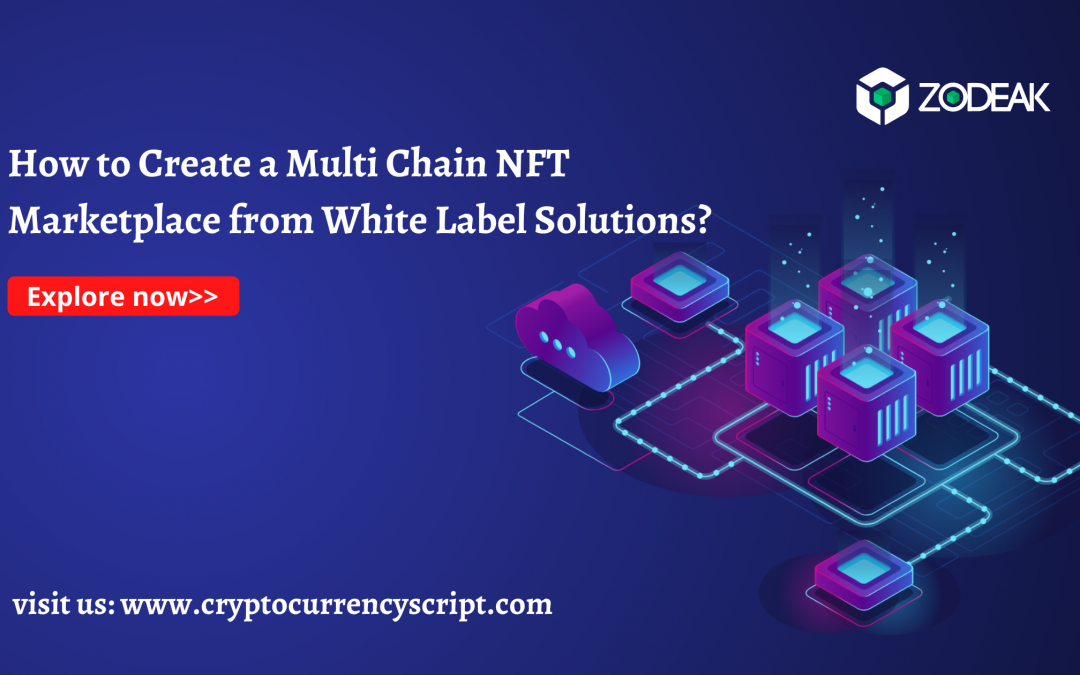 White Label Multi Chain NFT Marketplace | Zodeak White Label Multi Chain NFT Marketplace | Zodeak