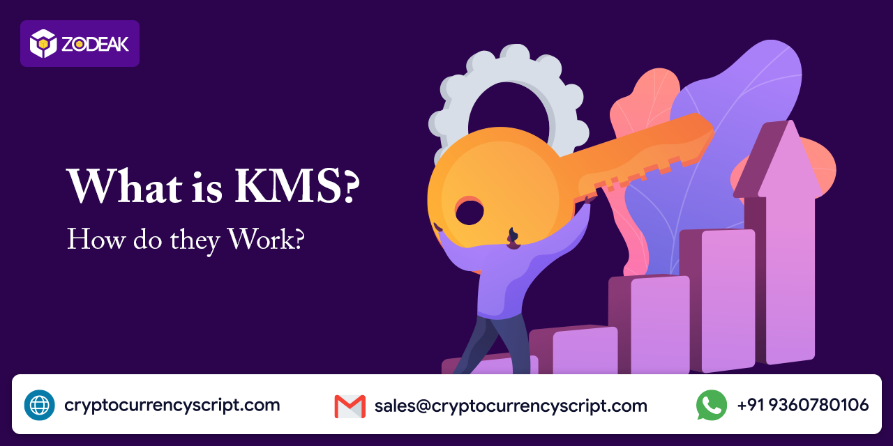 What is Key Management Systems ( KMS)? How do they Work?